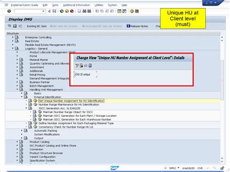 青蛙sap分享 Froggys Sap Sharing Hum Sscc Generation