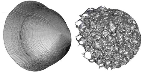 Figure 1 From A Numerical Voxel Model For 3d Printed Uncompressed Breast Phantoms Semantic Scholar