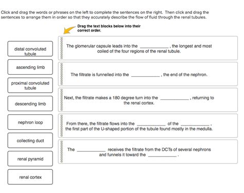 Solved Click And Drag The Words Or Phrases On The Left To