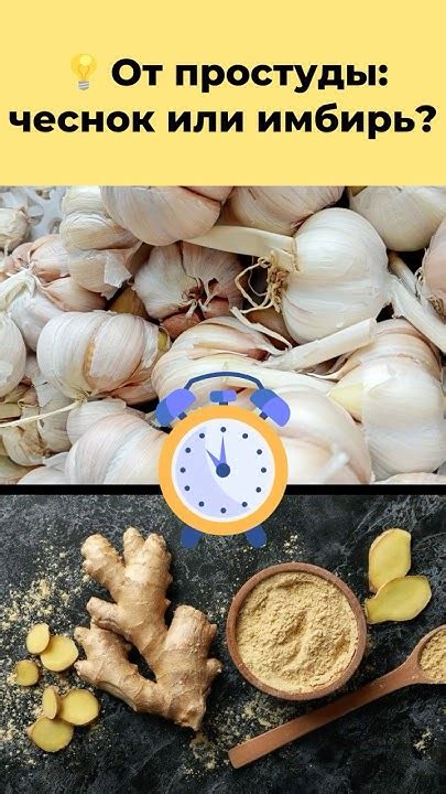 💡 Где больше витамина C Что полезно для сна и иммунитета здоровье зож пп Westwood