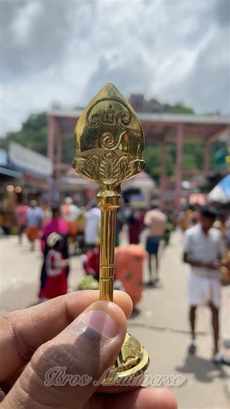 Bros Multiverse ️thai Iilai Biriyani 🔥midnight💯 Annanagar📍 Worthaa ️