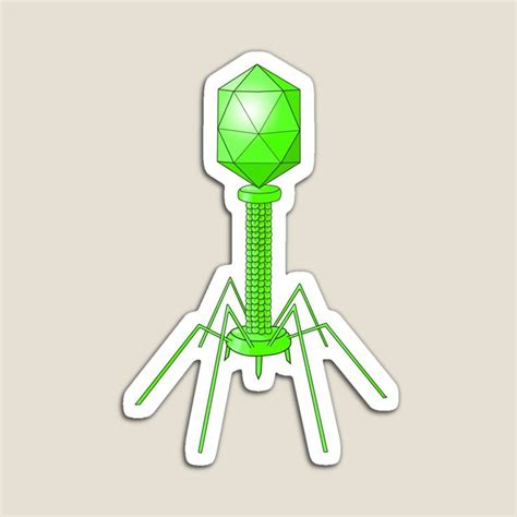 Bacteriophage Or Phage A Complex Virus Shape Magnet