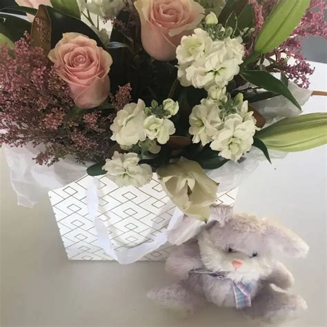 Ava Estelles Portfolio Content