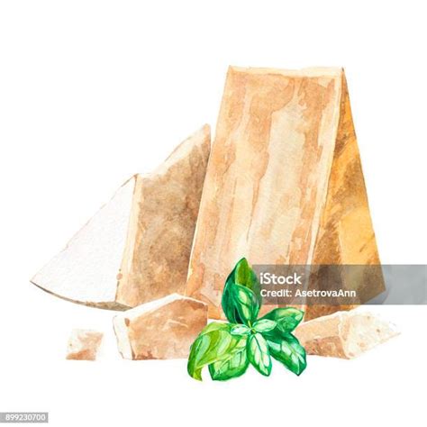 흰색 바탕에 절연 바 질 허브와 파 르 메 산 치즈 조각 이탈리아 고전 요리 조미료의의 근접 촬영 손으로 그린 수채화 그림 0명에 대한 스톡 벡터 아트 및 기타 이미지