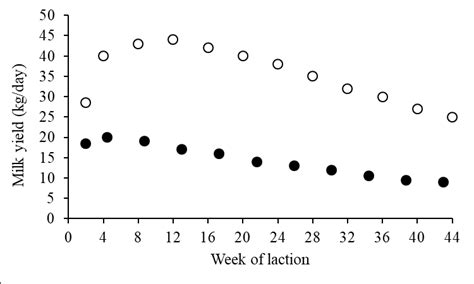 Milk Yield In The Course Of Time Of Cows Producing Either ~4400