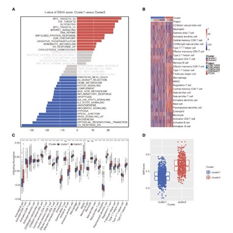 Molecular And Immune Characteristic Analysis Between Two Autophagy Download Scientific Diagram