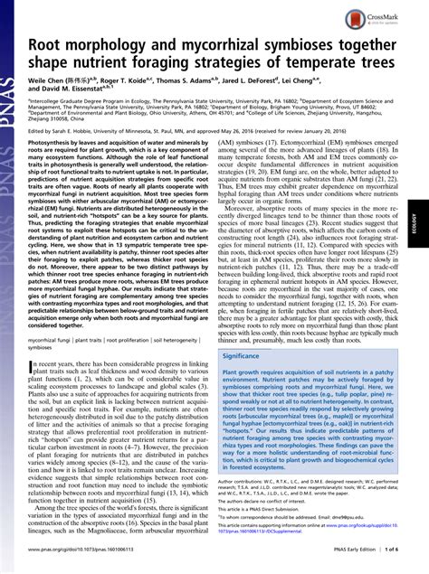 Pdf Root Morphology And Mycorrhizal Symbioses Together Shape Nutrient
