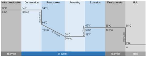 Ligation Sequencing V14 — Single Cell Transcriptomics With 5 Cdna Ligation Sequencing V14 — Single Cell Transcriptomics With 5 Cdna