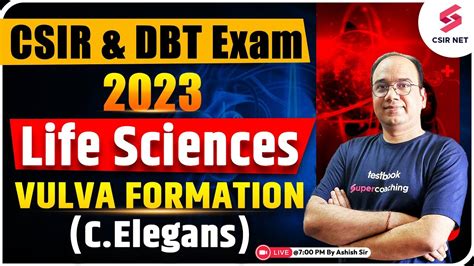 Csir Net And Dbt Exam 2023 Vulva Formation Celegans Full Information Ashish Sir Youtube