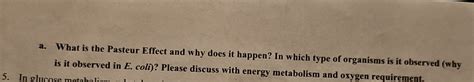 Solved A ﻿what Is The Pasteur Effect And Why Does It