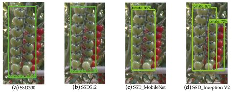 Robust Cherry Tomatoes Detection Algorithm In Greenhouse Scene Based On Ssd