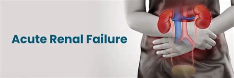 Acute Renal Failure Causes Symptoms And Treatments