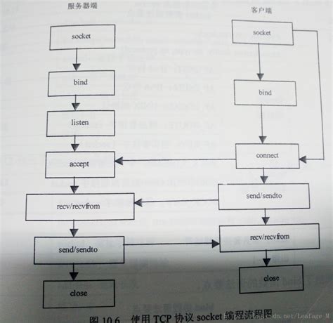 C语言中socket使用讲解。 Socket C语言 Csdn博客