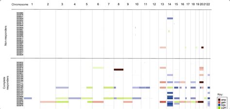 Copy Number Calls Across Cohort Id On Y Axis Download Scientific Diagram