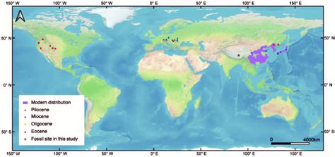Map Showing The Global Distribution Of Extant Species And Capsule
