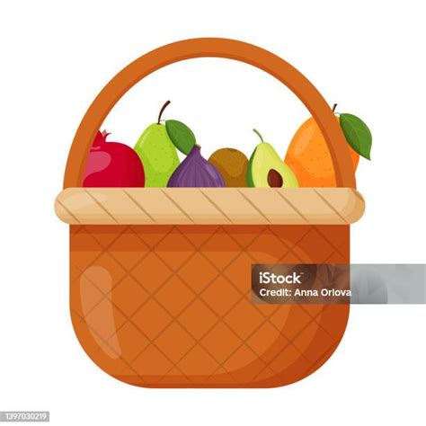 피크닉 바구니 신선한 과일을 곁들인 고리 버들 백켓 석류 배 무화과 키위 아보카도 망고 플랫 벡터 일러스트 레이 션 과일에 대한 스톡 벡터 아트 및 기타 이미지 Istock