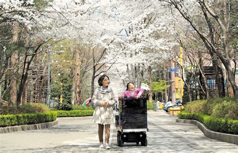 장애인 지원사업 당사자와 가족의 삶을 바꿨다 더나은미래