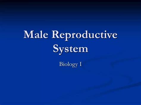 Ppt Male Reproductive System Powerpoint Presentation Free Download Id 4289151
