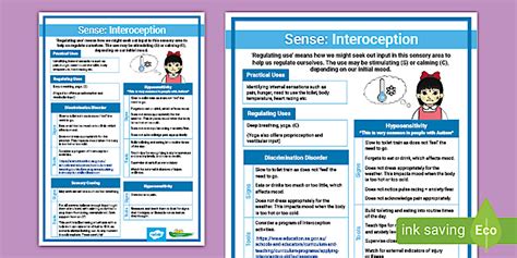 Regulating Sense Of Interoception Display Poster Twinkl