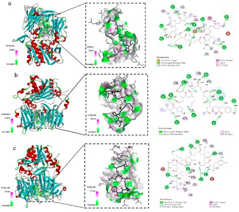 Molecular Docking Diagrams Of Peptide Segments With The Dpp Iv Enzyme Download Scientific