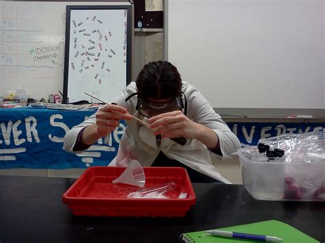 EC Honors Biology Strawberry DNA Extraction Lab