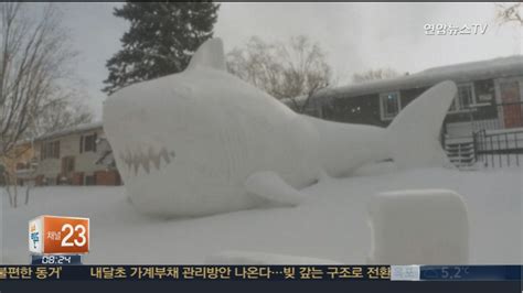 세상이 눈ㆍ얼음으로 가득한파 속 지구촌 표정 연합뉴스