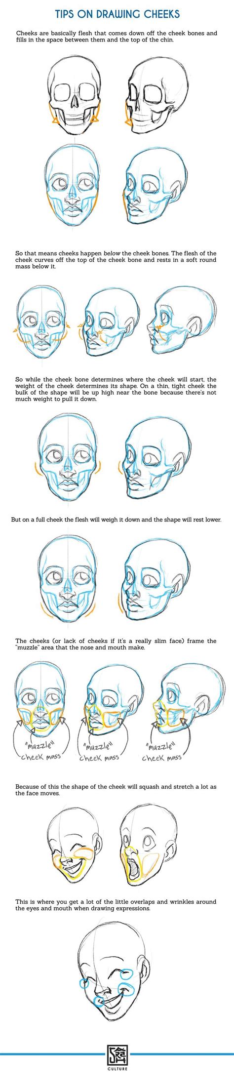 Tutorial On Drawing Cheekbones And Cheeks Tips By SarahCulture From Deviantart Drawings Tutorial On Drawing Cheekbones And Cheeks Tips By SarahCulture From Deviantart Drawings