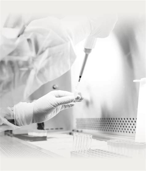 Stem Loop Primers Comparison Short Rna Qpcr Assays