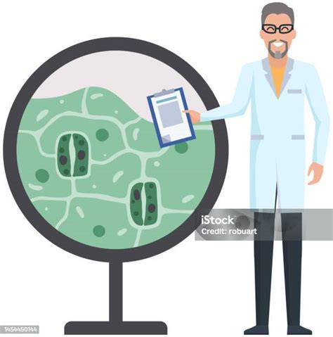 생물 학자들은 식물 세포의 구조를 연구합니다 실험실에서 녹색 샘플을 사용한 생물학적 연구 Dna에 대한 스톡 벡터 아트 및 기타 이미지 Dna 건강관리와 의술 과학