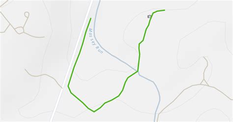 Massey Run Loop Hiking Trail Newtown Square Pa