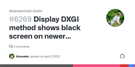 Display Dxgi Method Shows Black Screen On Newer Versions · Issue 6269
