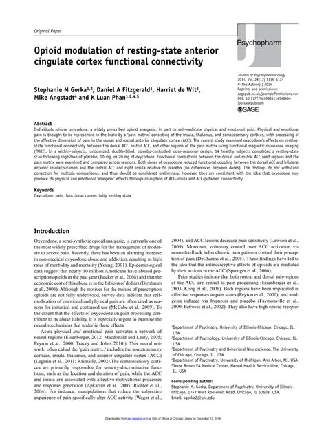 Pdf Opioid Modulation Of Resting State Anterior Cingulate Cortex