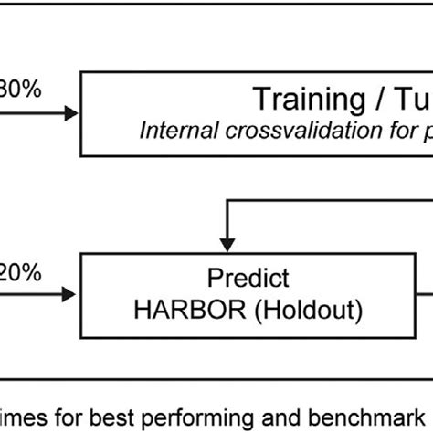 Diagram Showing Model Training And Validation Scheme Download Scientific Diagram