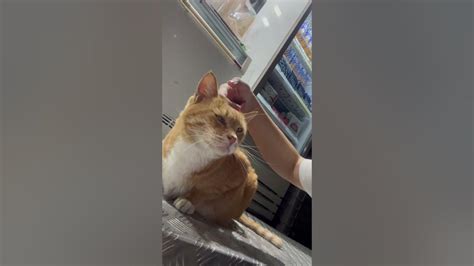 누나 갈게 Youtube