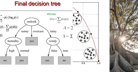 List Ml Decision Tree Curated By Lisayi101 Medium