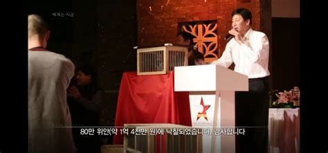 더쿠 품종견 품종묘 보다 더한 서양의 품종 개량된 관상용 비둘기