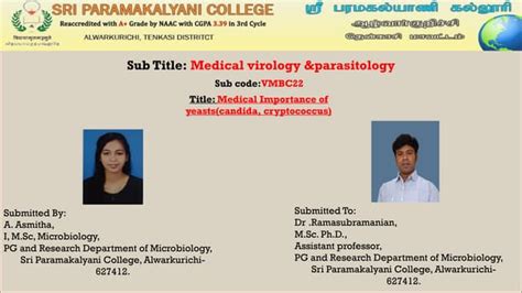 Medical Importance Of Yeast Cryptococcus Neoformans And Candida Albicans Pptx