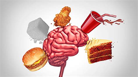 အဆီပါဝင်မှုများသော အစားကို သုံးရက်စားရုံဖြင့် ဦးနှောက်ရောင်ရမ်းမှုကိုဖြစ်စေနိုင် Myawady Webportal