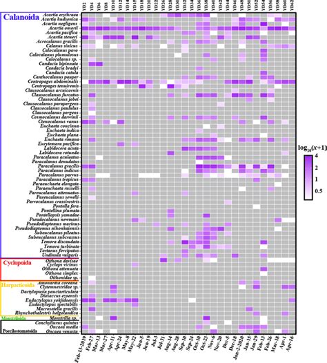 Heatmap Of Subclass Copepoda Each Read Count Is Transformed