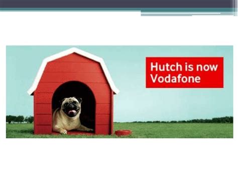 The Hutchison Essar Acquisition