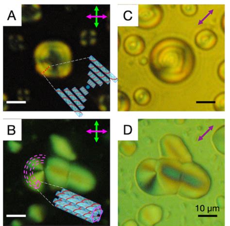 Figure S5 Birefringence Analysis And Structure Of N And Cu Phases