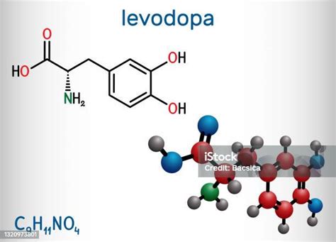 Ldopa 레보도파 분자 그것은 아미노산 파 킨 슨 병의 치료에 도파민 농도 증가 하는 데 사용 됩니다 구조 화학 포뮬러 분자 모델 0명에 대한 스톡 벡터 아트 및 기타