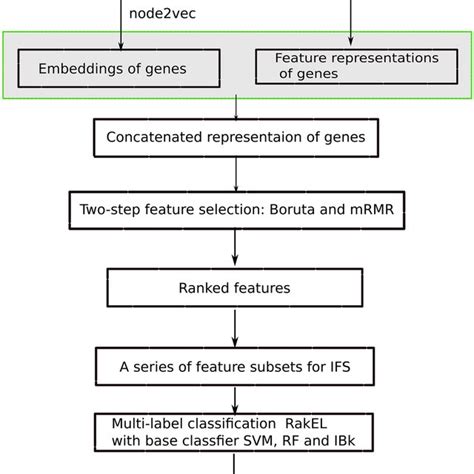 Flowchart Of The Proposed Multi Label Multi Class Classification Models Download Scientific
