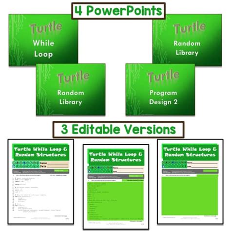 Turtle While Loop And Random Structures Editable Resource Package
