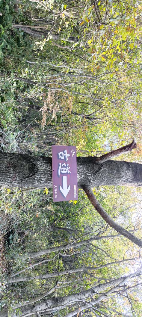 无锡徒步山军嶂古道徒步路线图 哔哩哔哩