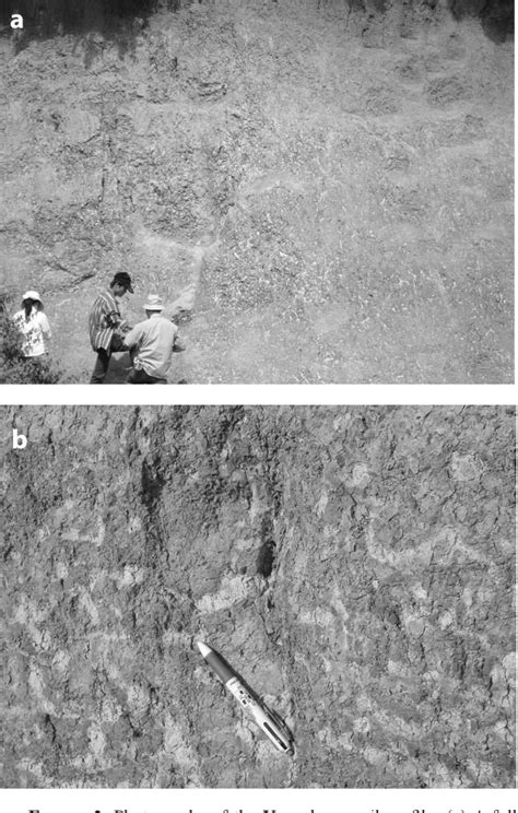 Figure 1 From Three Component Mixed Layer Illite Smectite Kaolinite I S K Minerals In