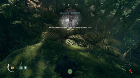 Ancestors The Humankind Odyssey Game UI Database