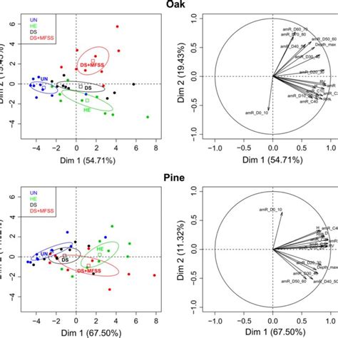 Linear Relationship Between Root Projection Area RPA And Root Collar Download Scientific