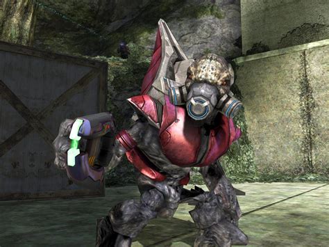 Image H3 Grunt Major  Halo Nation — The Halo Encyclopedia Halo