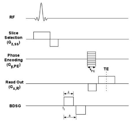 3 Diffusion Weighted Gradient Echo Sequence For The Bipolar Diffusion